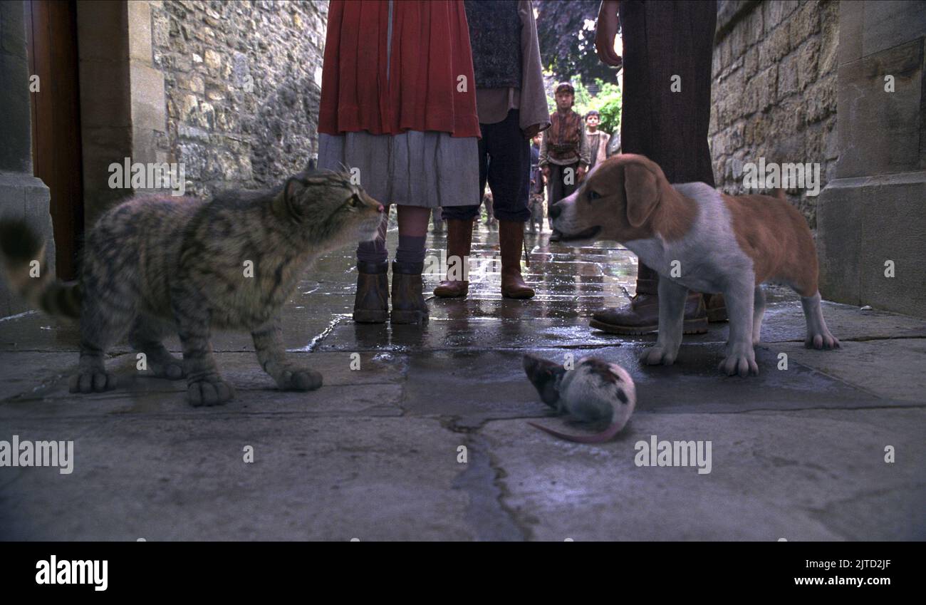 PANTALAIMON, THE GOLDEN COMPASS, 2007 Stock Photo - Alamy