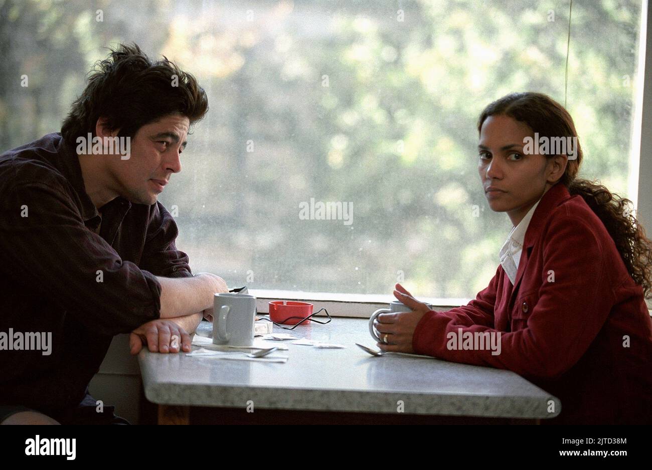 TORO,BERRY, THINGS WE LOST IN THE FIRE, 2007 Stock Photo - Alamy