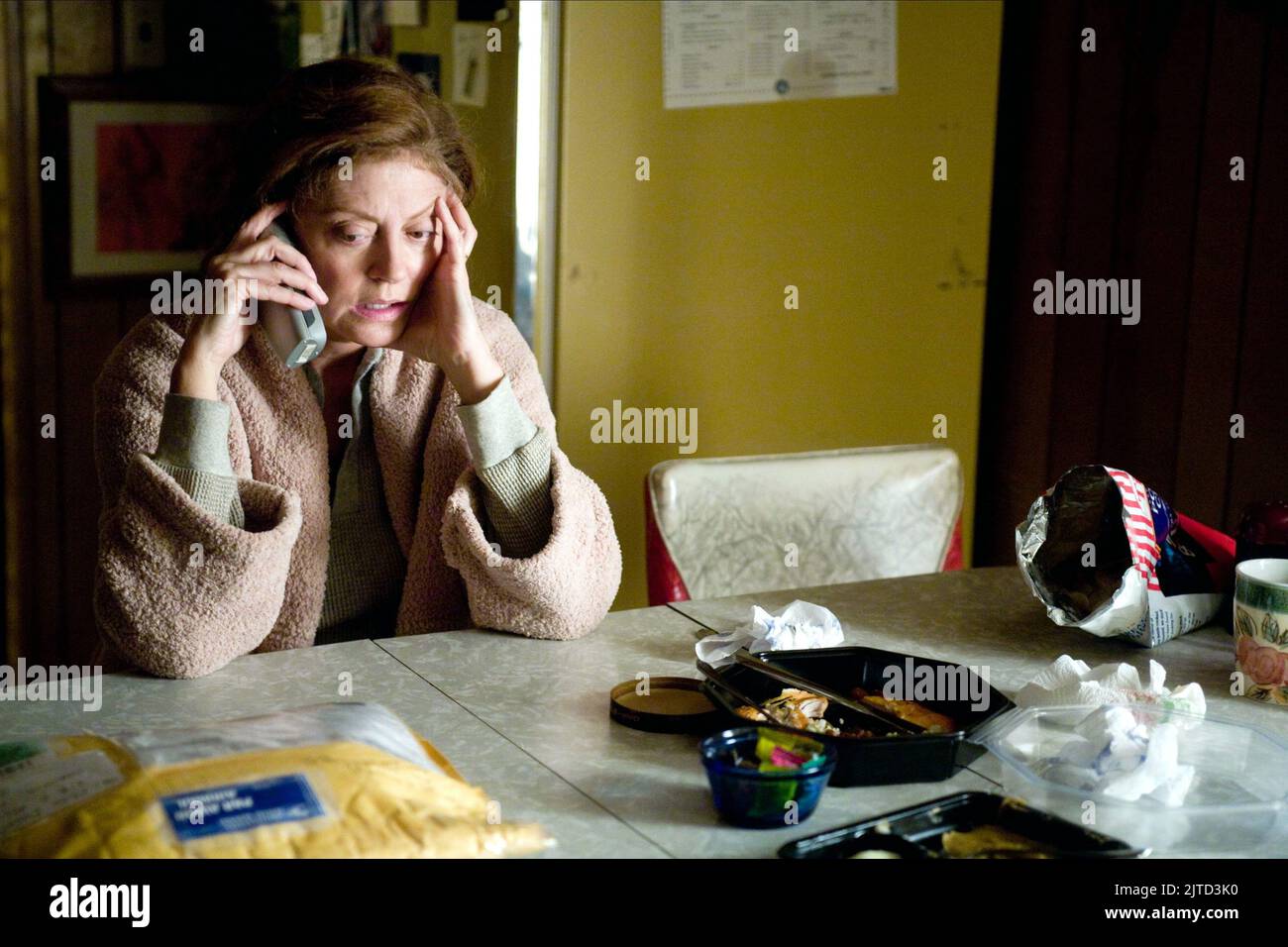 SUSAN SARANDON, IN THE VALLEY OF ELAH, 2007 Stock Photo - Alamy
