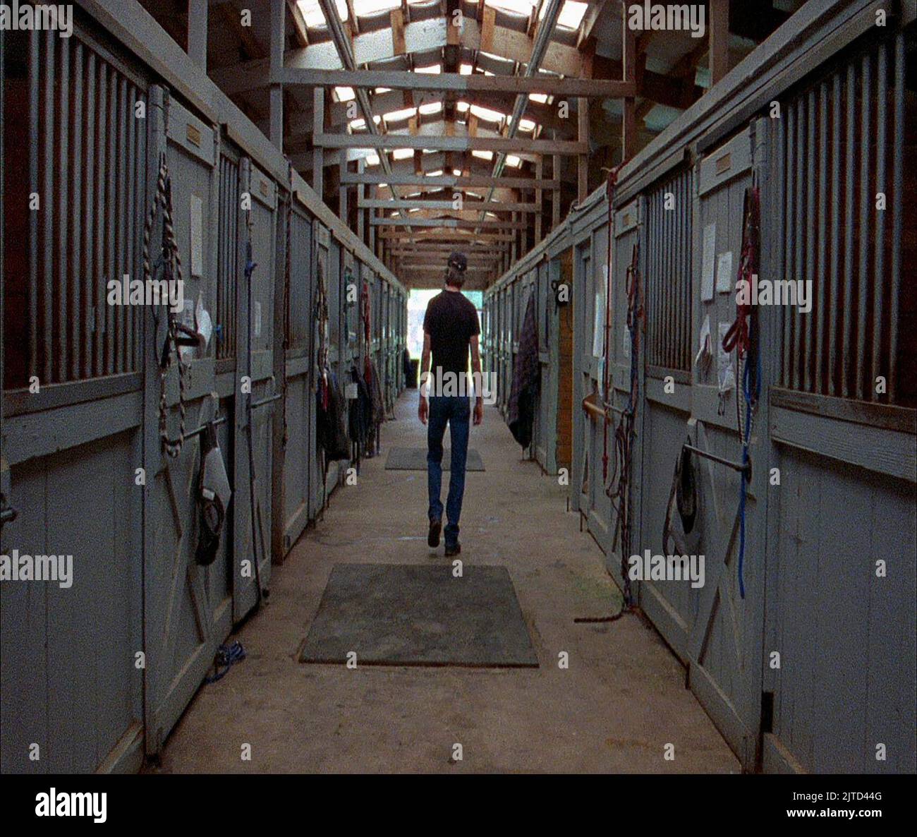 STABLES SCENE FROM MOVIE, ZOO, 2007 Stock Photo - Alamy