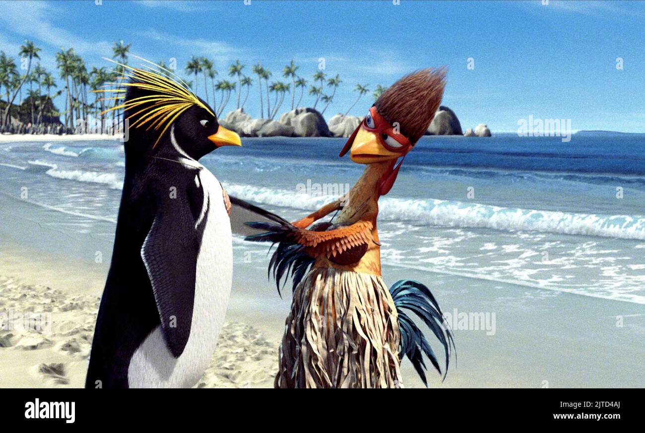 Chicken George Surfs Up