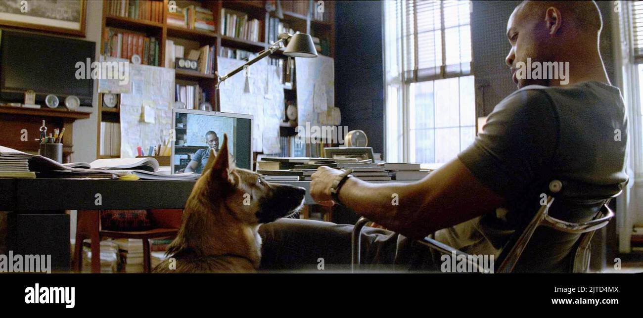 I am legend (2007) dog hi-res stock photography and images - Alamy