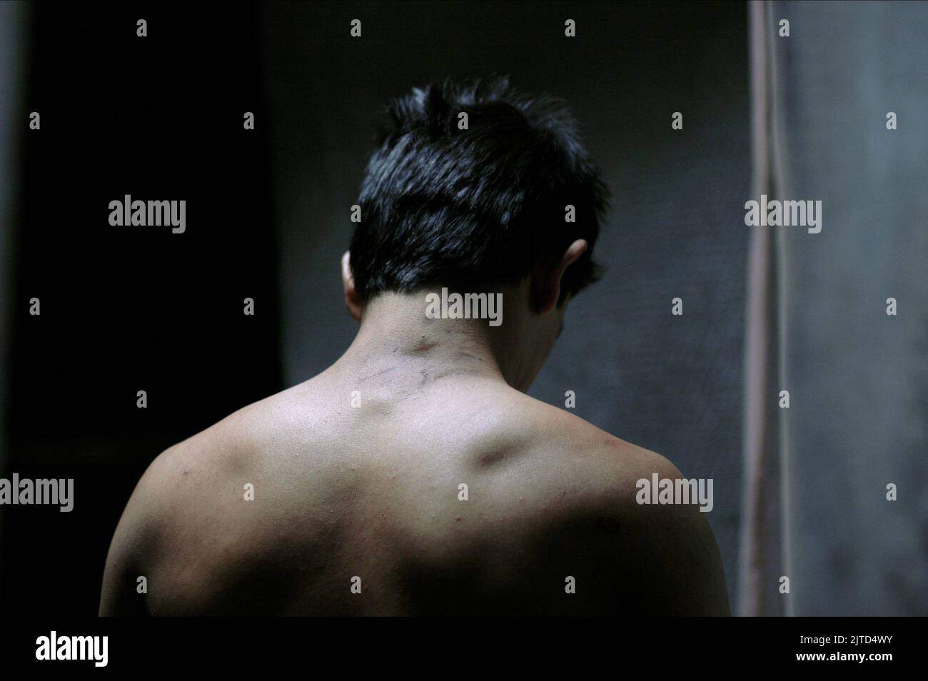 JORGE ADRIAN ESPINDOLA, SANGRE DE MI SANGRE , 2007 Stock Photo - Alamy