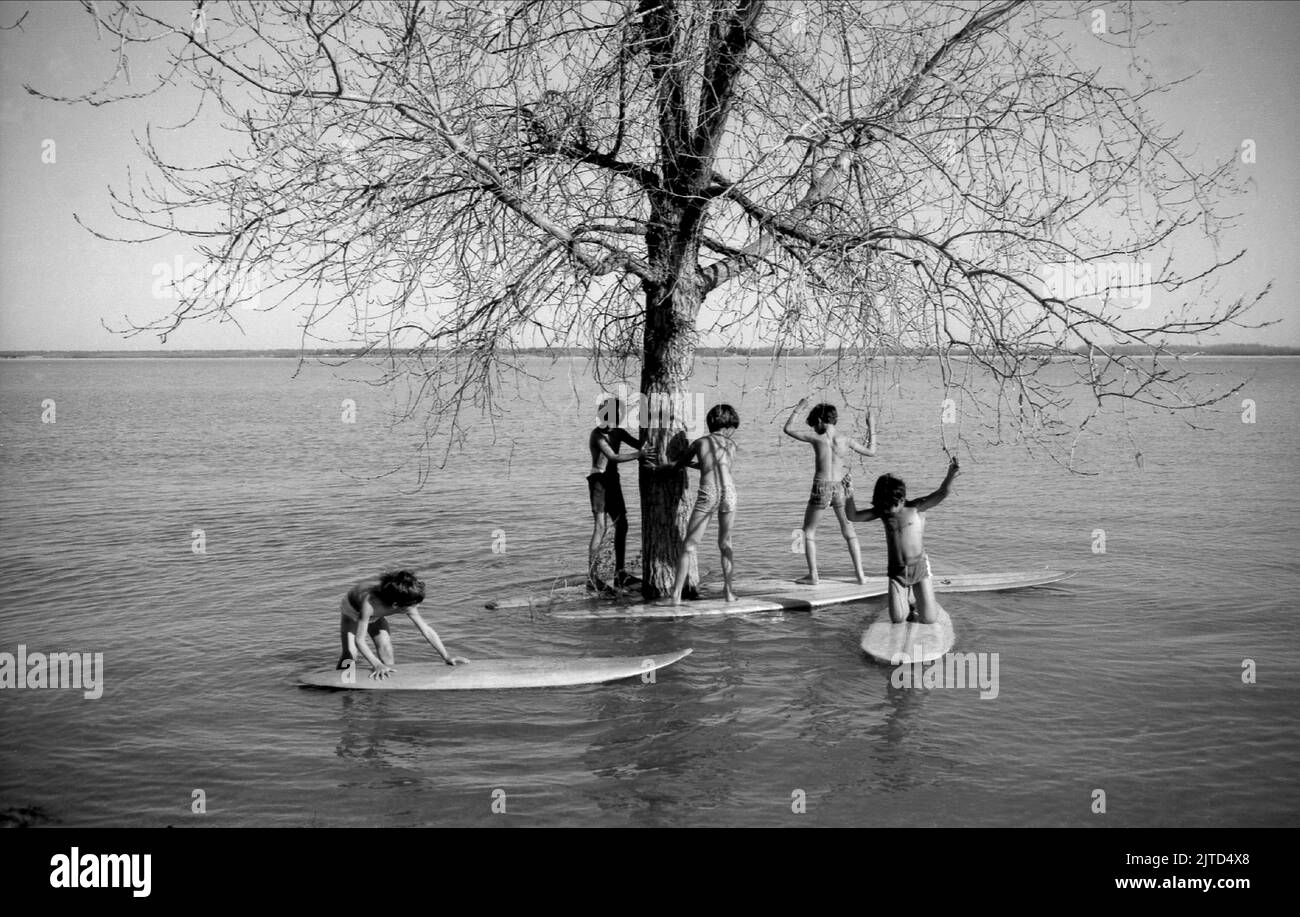 The paskowitz family hi-res stock photography and images - Alamy