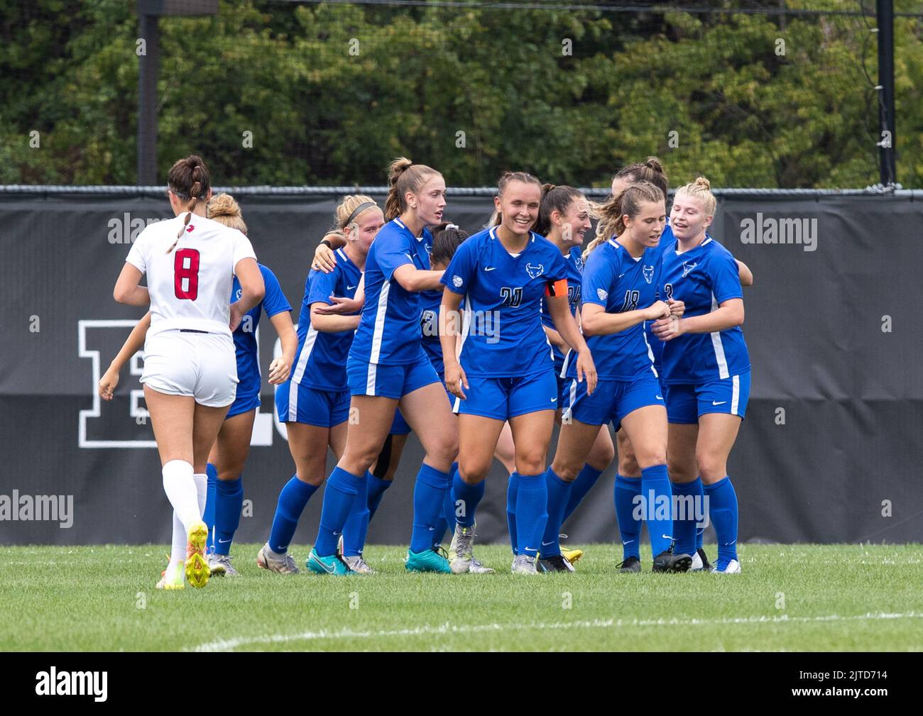 Pisc hi-res stock photography and images - Alamy