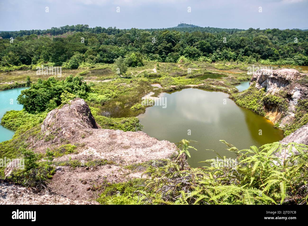 vegetation around the abandoned mining pond Stock Photo - Alamy
