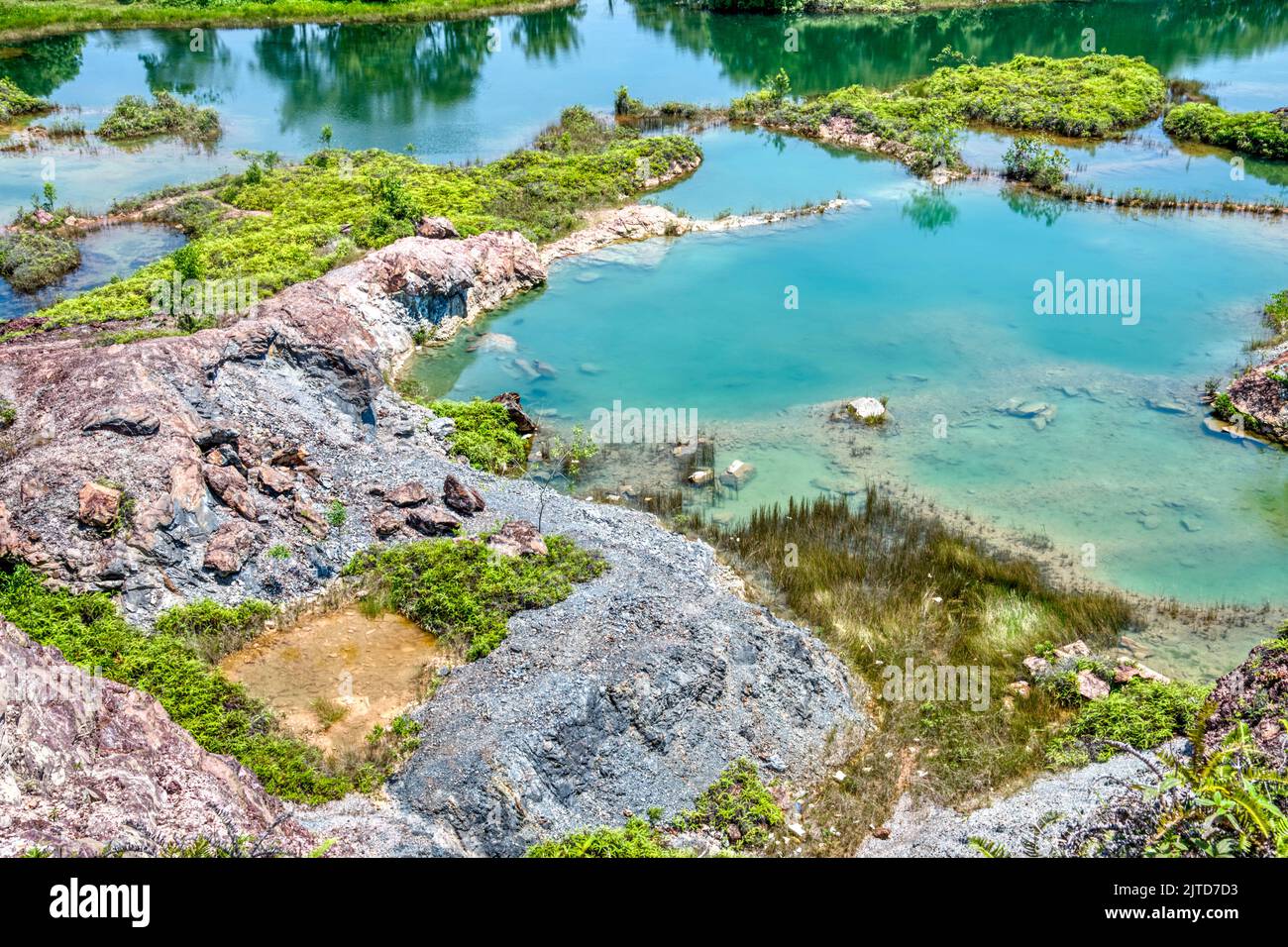 vegetation around the abandoned mining pond Stock Photo - Alamy