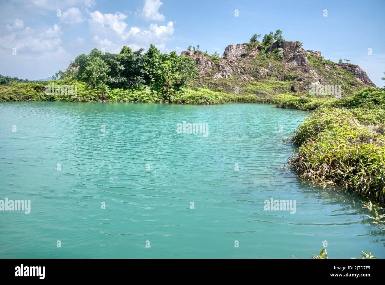 vegetation around the abandoned mining pond Stock Photo - Alamy
