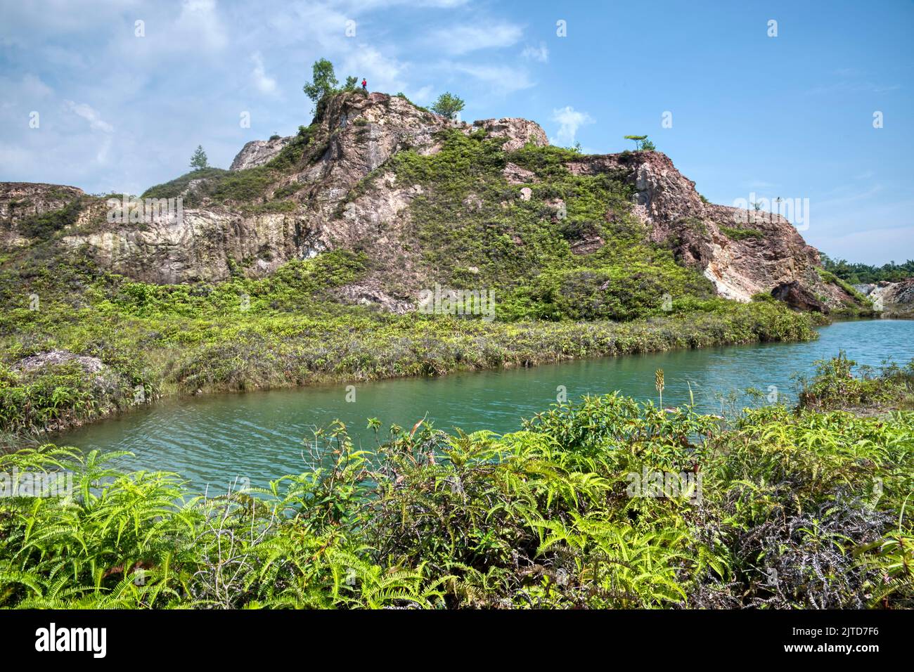 vegetation around the abandoned mining pond Stock Photo - Alamy