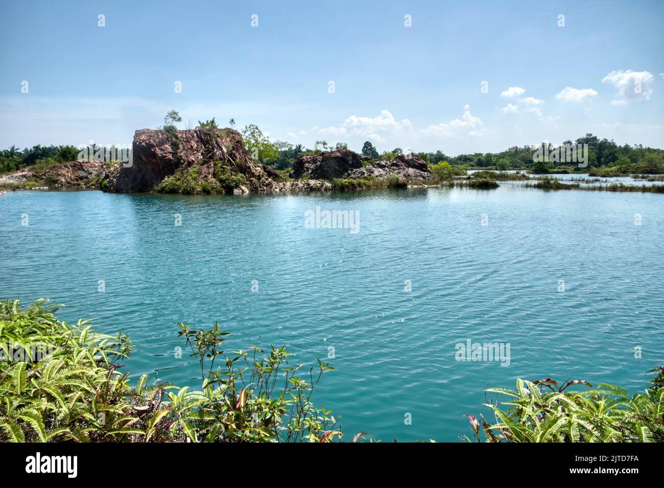 vegetation around the abandoned mining pond Stock Photo - Alamy