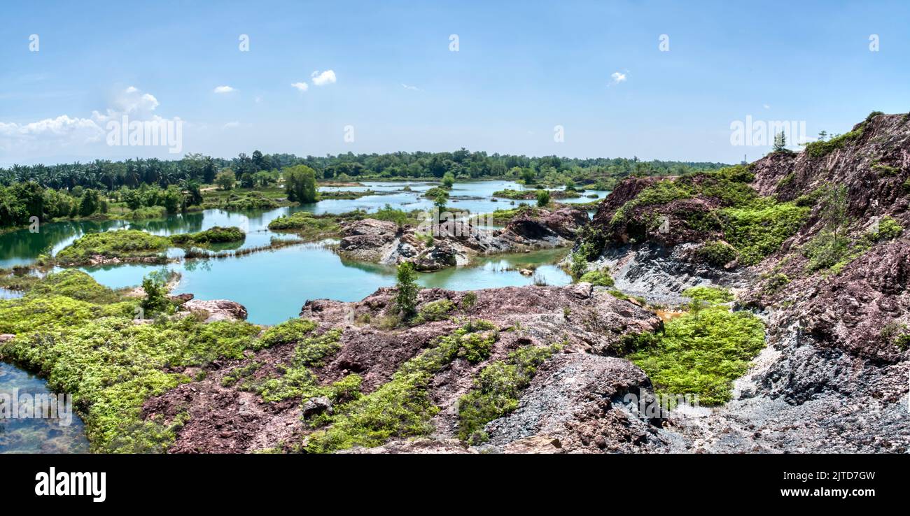 vegetation around the abandoned mining pond Stock Photo - Alamy