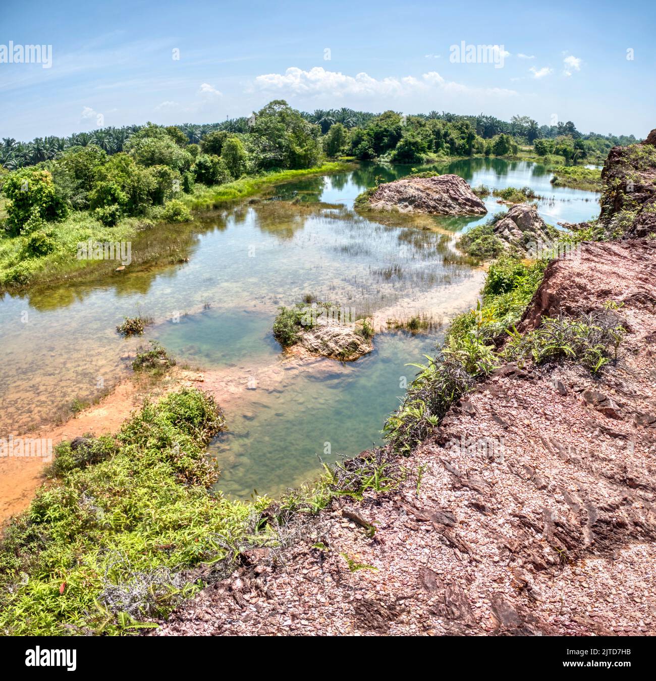 vegetation around the abandoned mining pond Stock Photo - Alamy