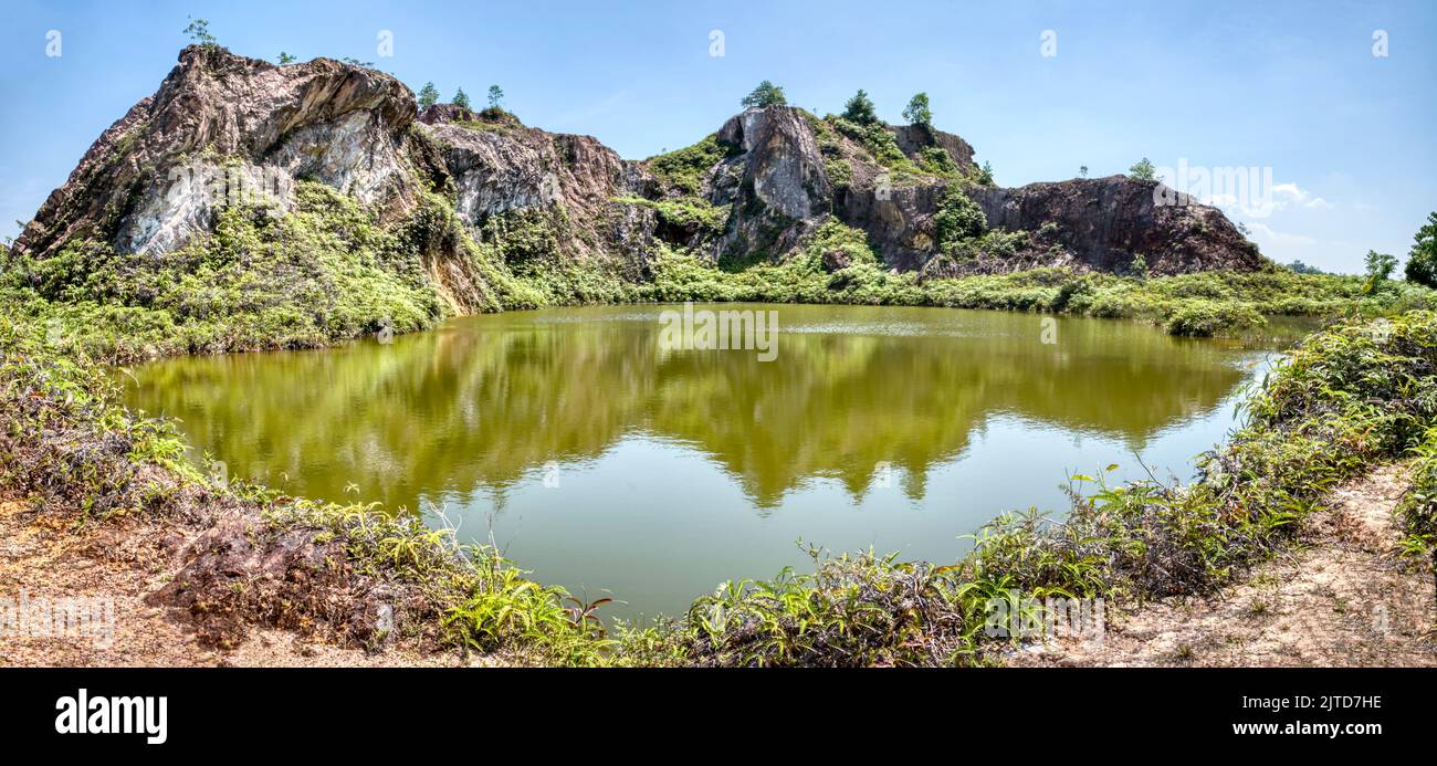 vegetation around the abandoned mining pond Stock Photo - Alamy