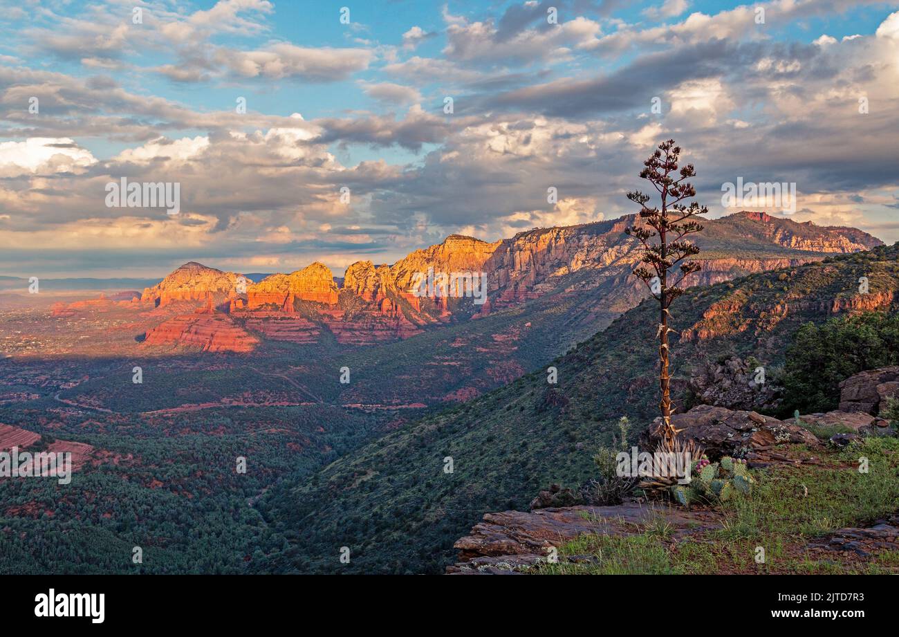 Morning landscape view hi-res stock photography and images - Alamy
