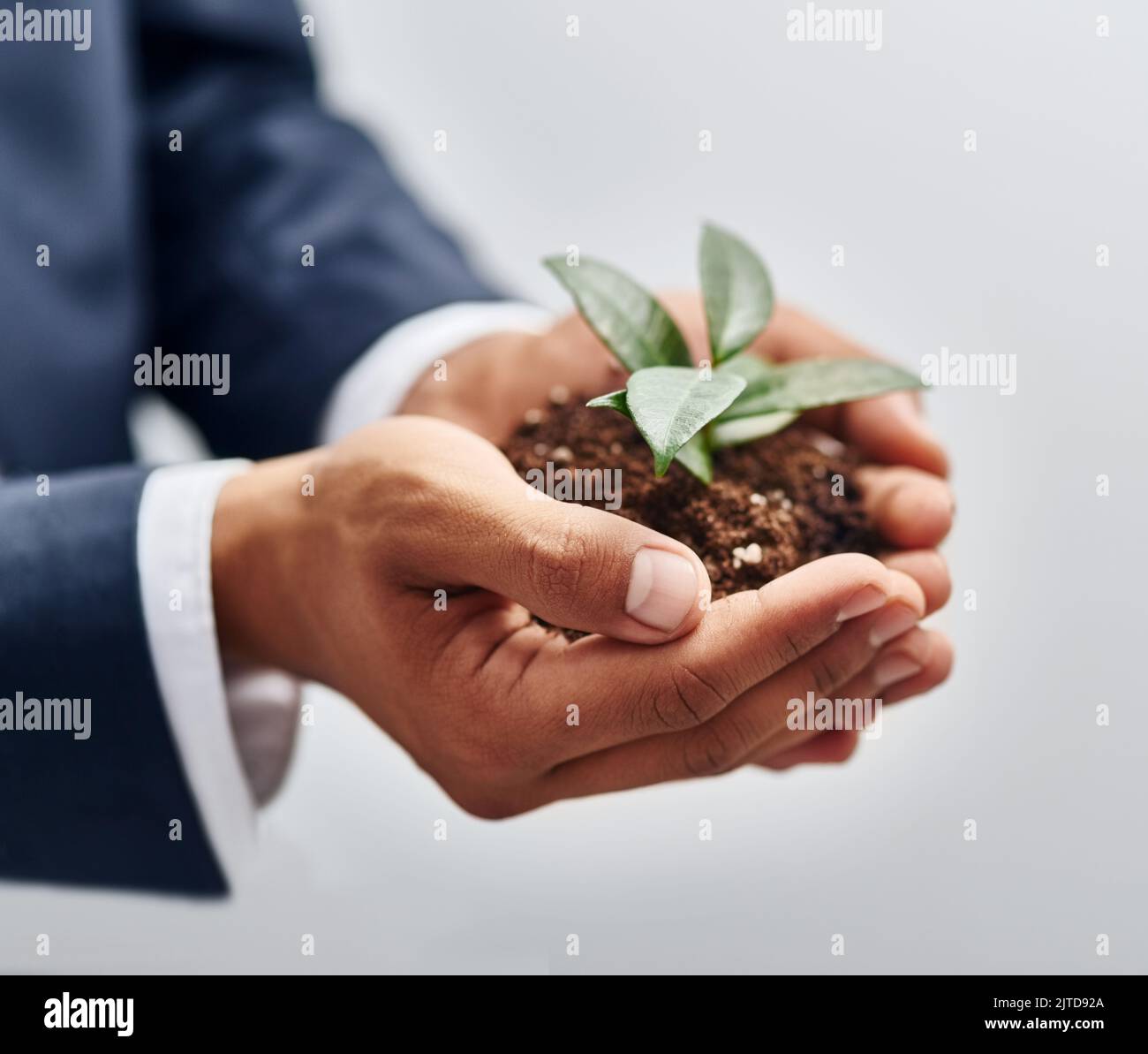 Holding sprouting staff hi-res stock photography and images - Alamy