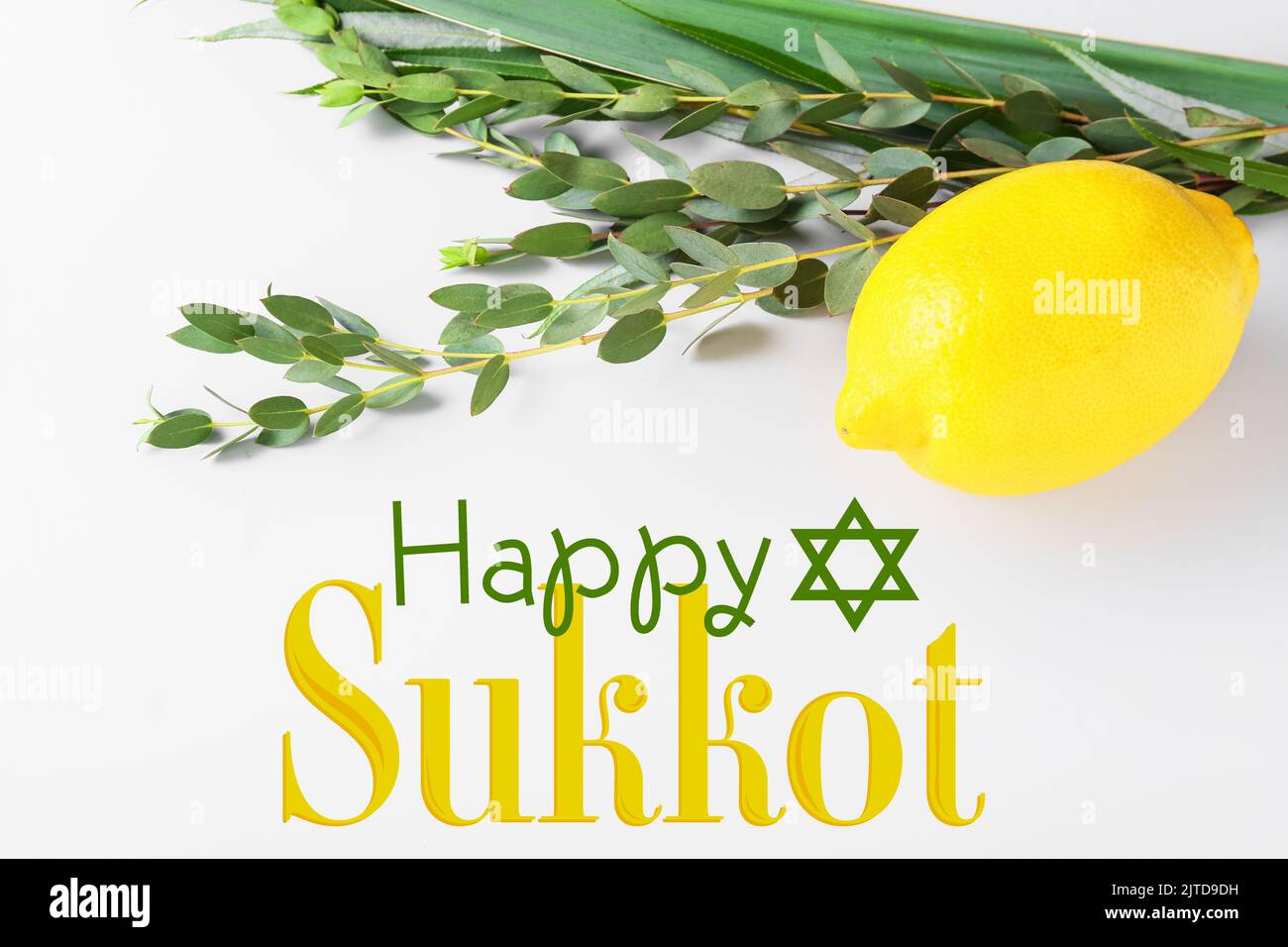 Greeting card with Sukkot festival symbols on white background Stock ...