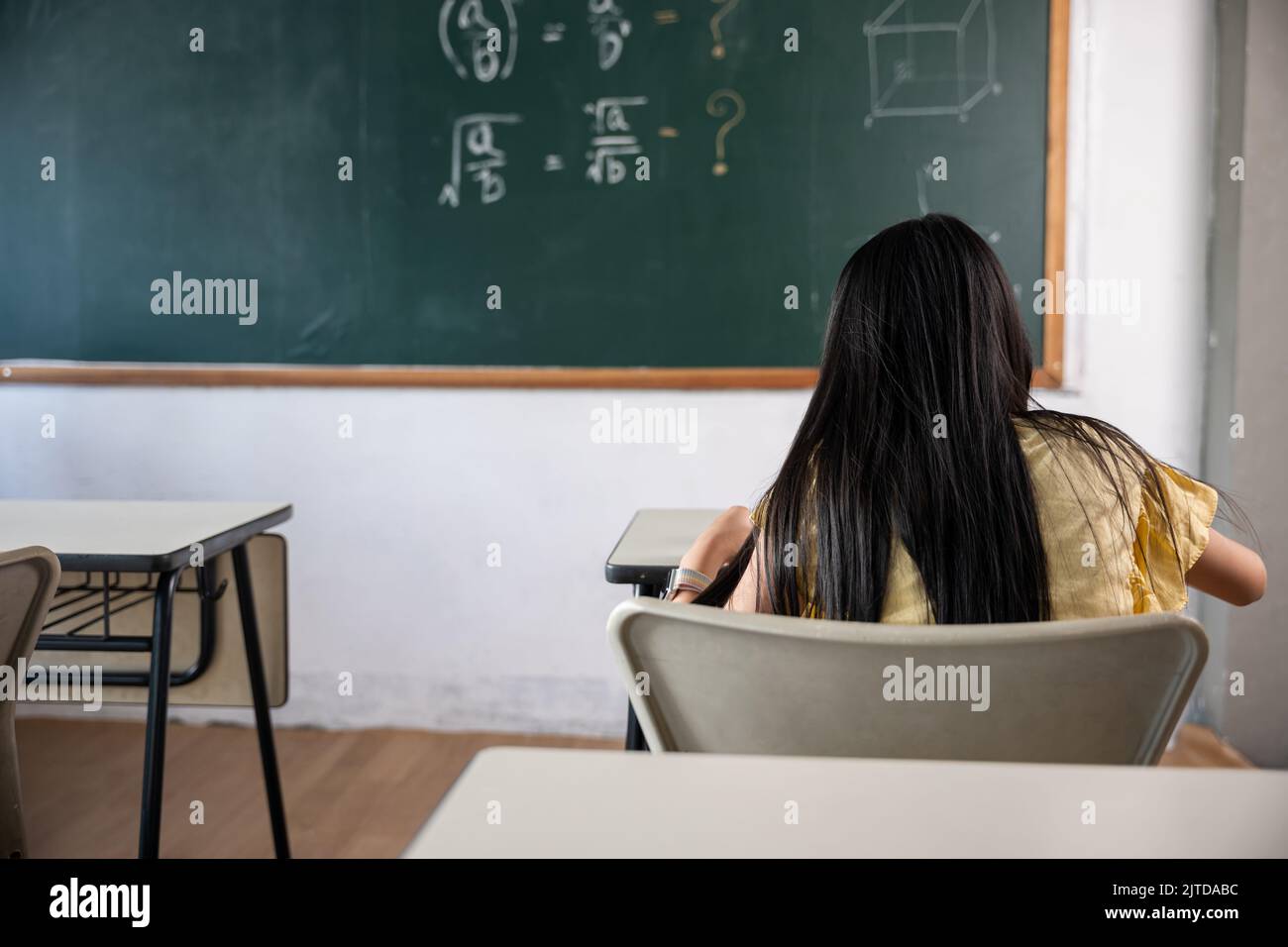 Education. Back view of school girl on lesson in classroom write ...