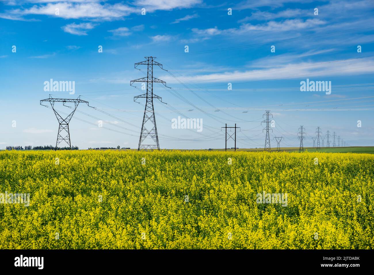 Tall transmission towers in a row on the Canadian prairies with yellow ... Tall transmission towers in a row on the Canadian prairies with yellow ...