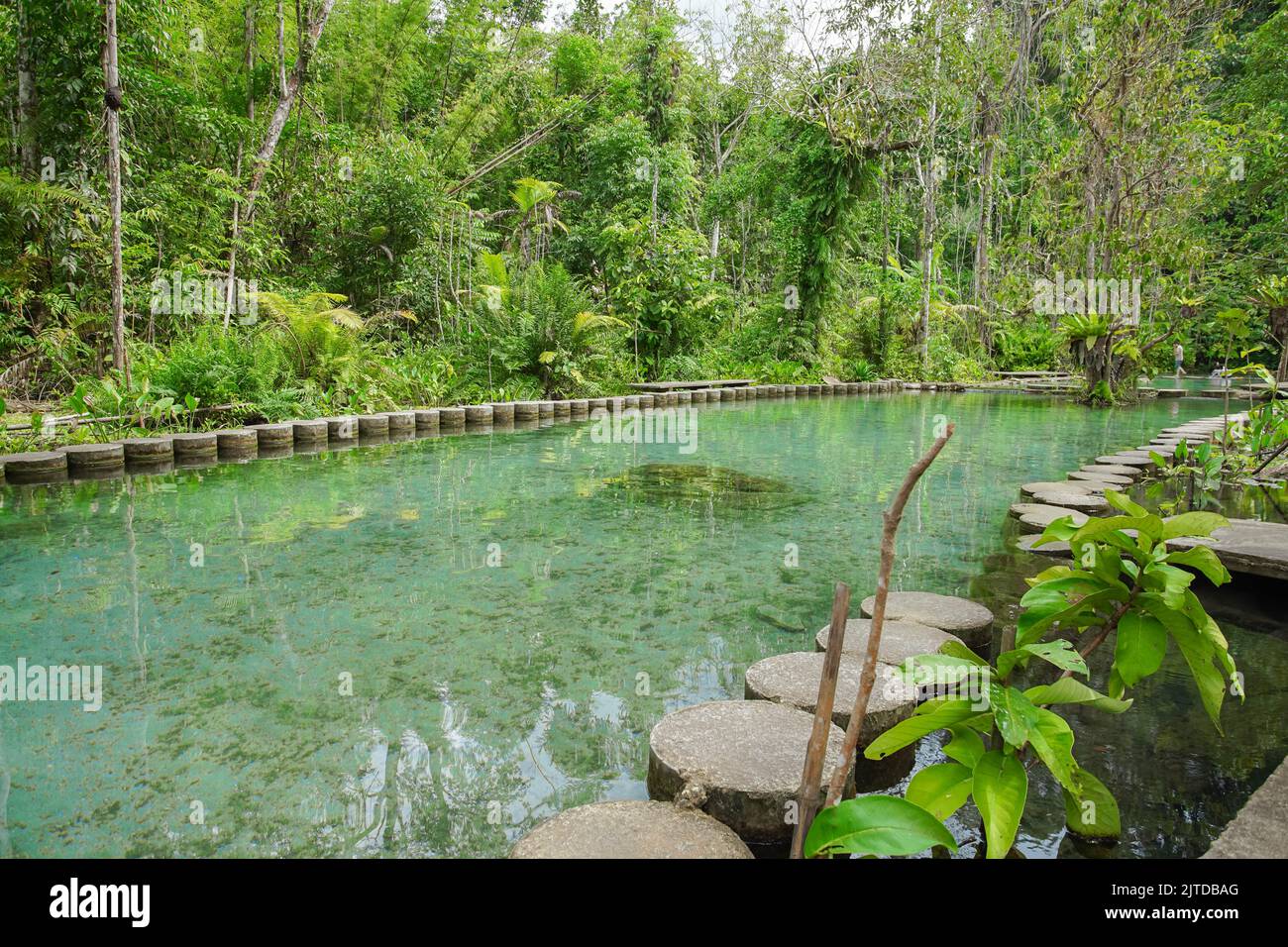 Recently popular attraction Ban Nam Rad Watershed Forest at Khiri Rat ...