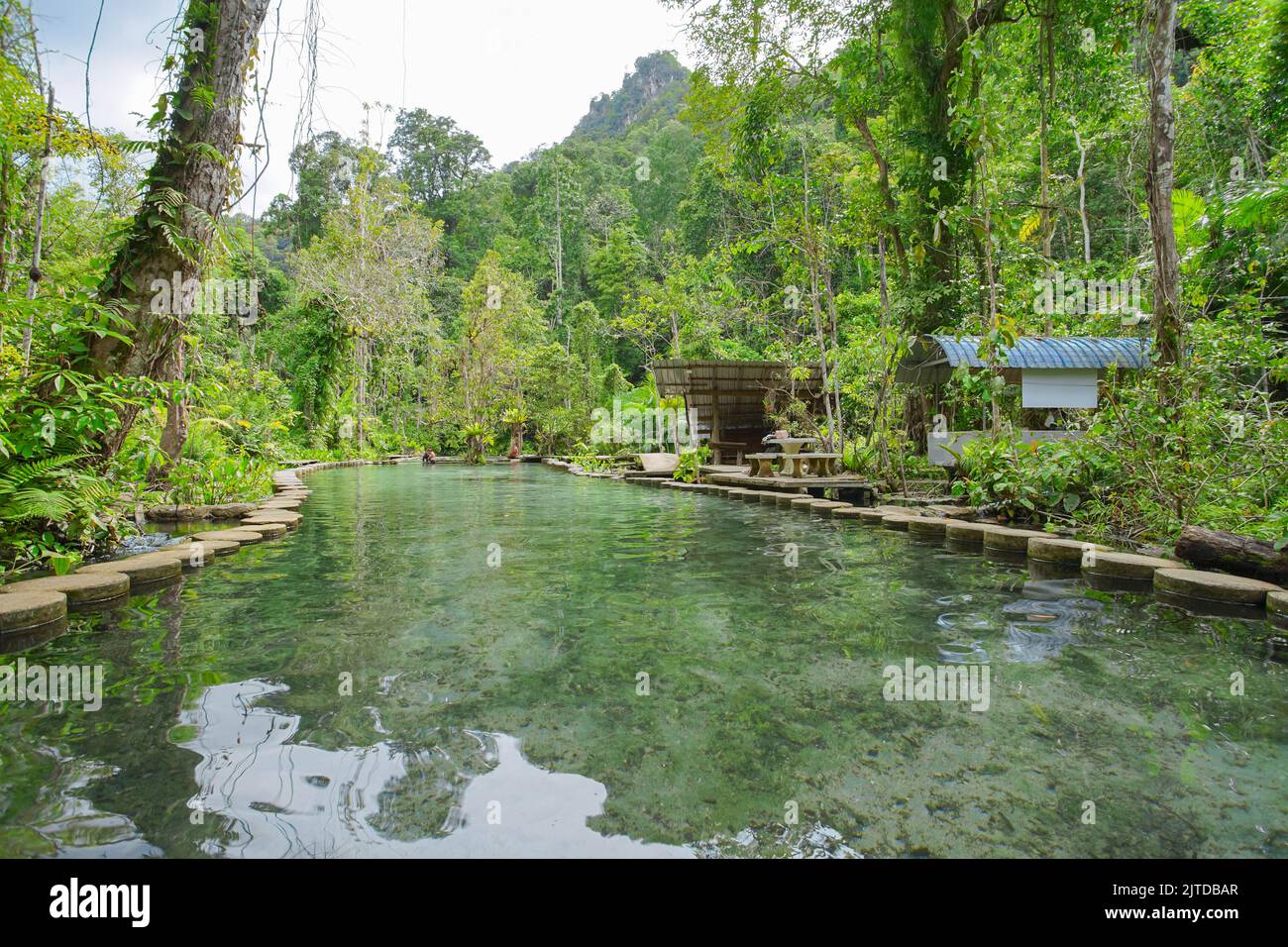 Recently popular attraction Ban Nam Rad Watershed Forest at Khiri Rat ...
