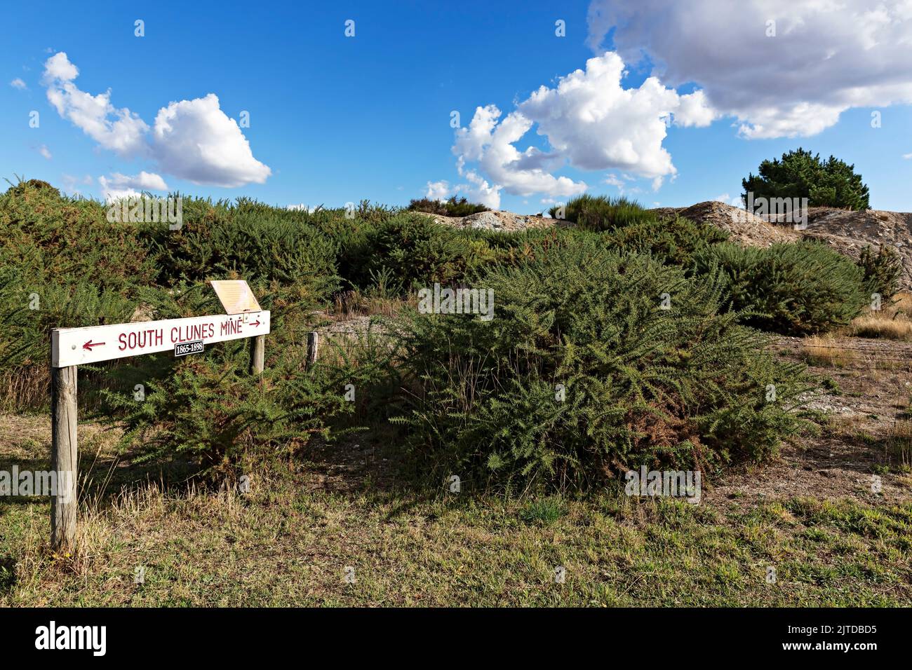Clunes Australia / Mullock heaps and Gorse Weeds at the former South ...