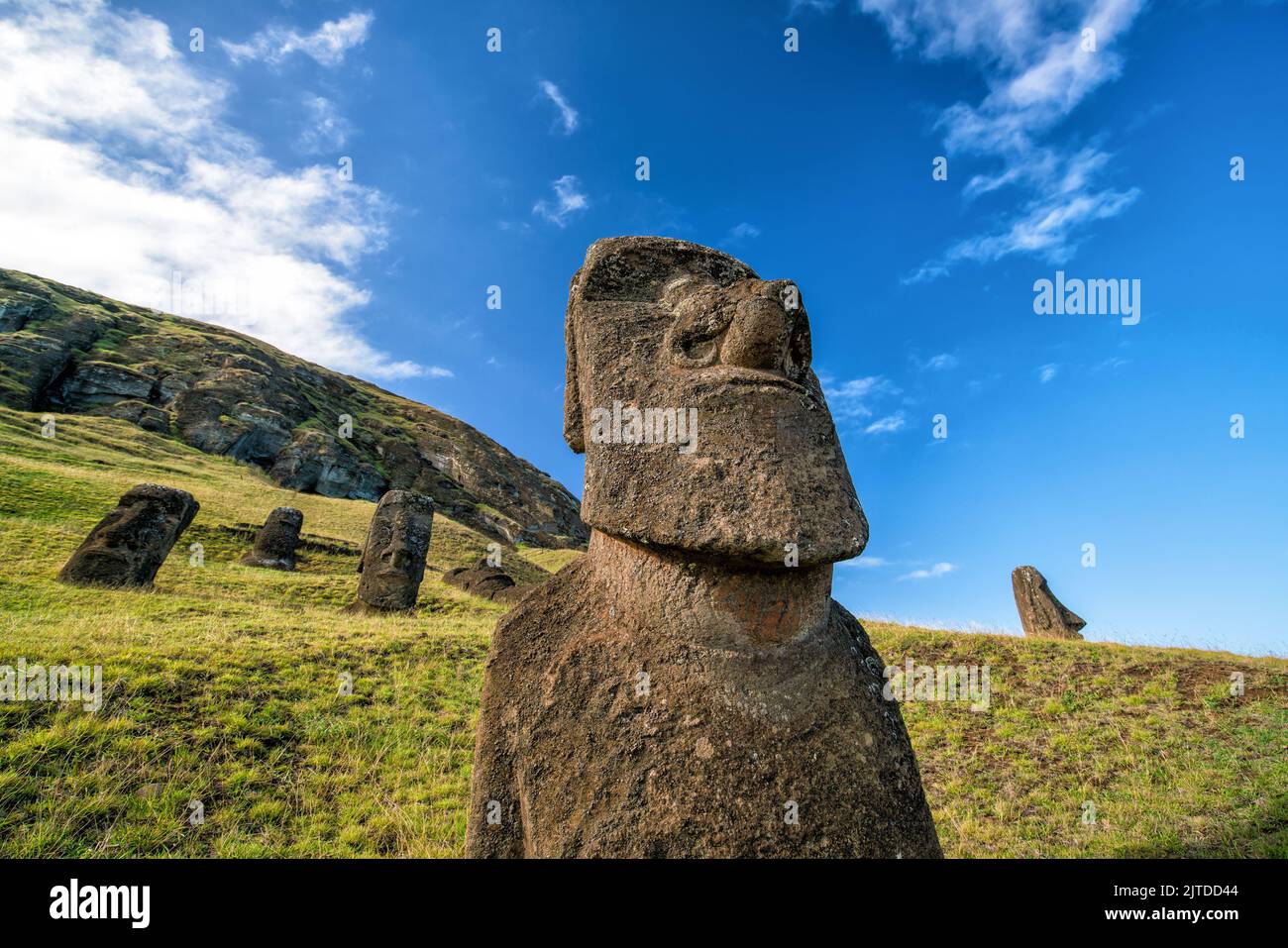 Moai statues in the Rano Raraku Volcano in Easter Island, Chile with ...