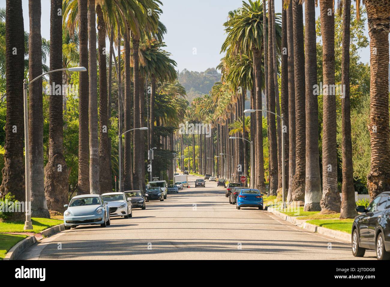 Streets of Beverly Hills in California USA Stock Photo - Alamy