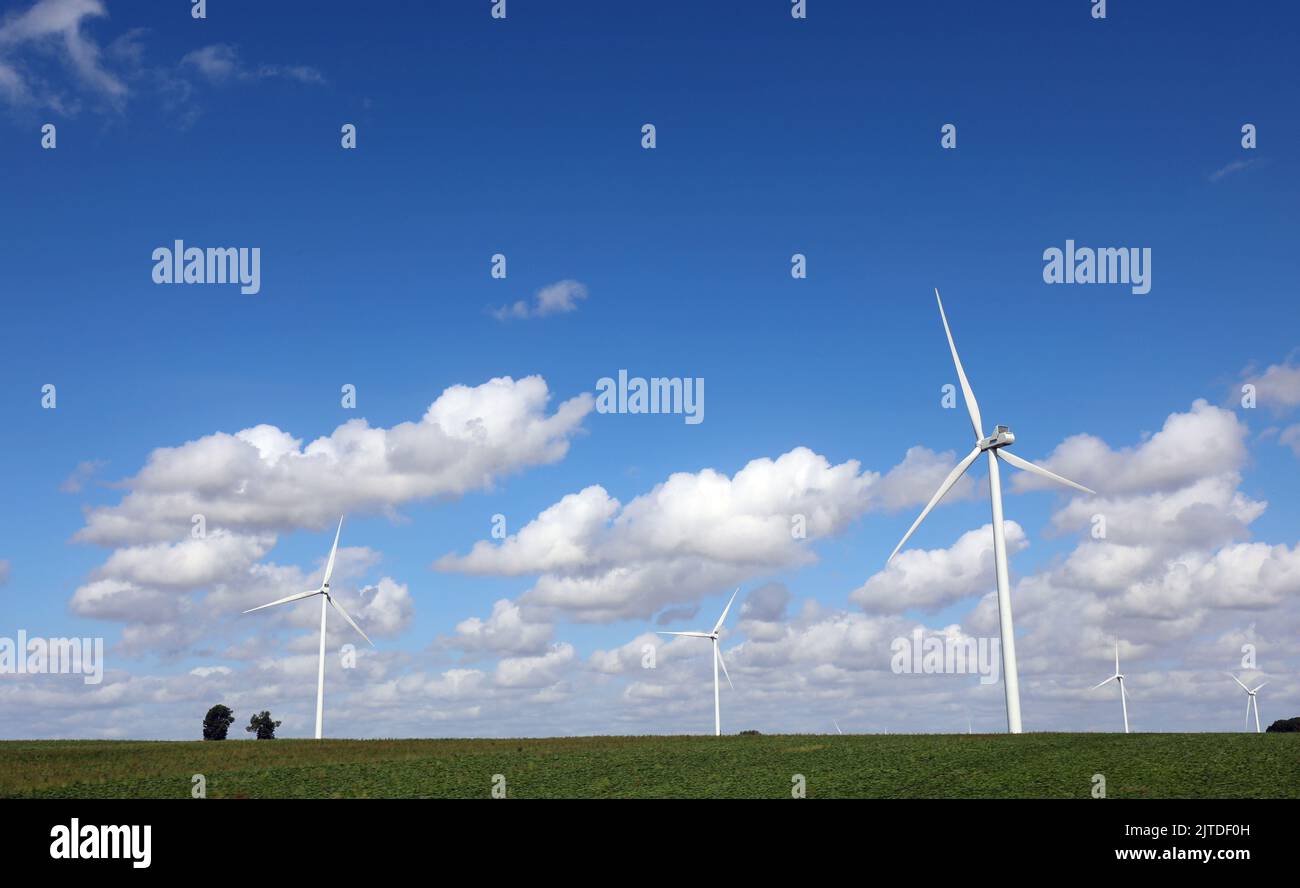 wind turbines for the production of renewable electricity by exploiting ...
