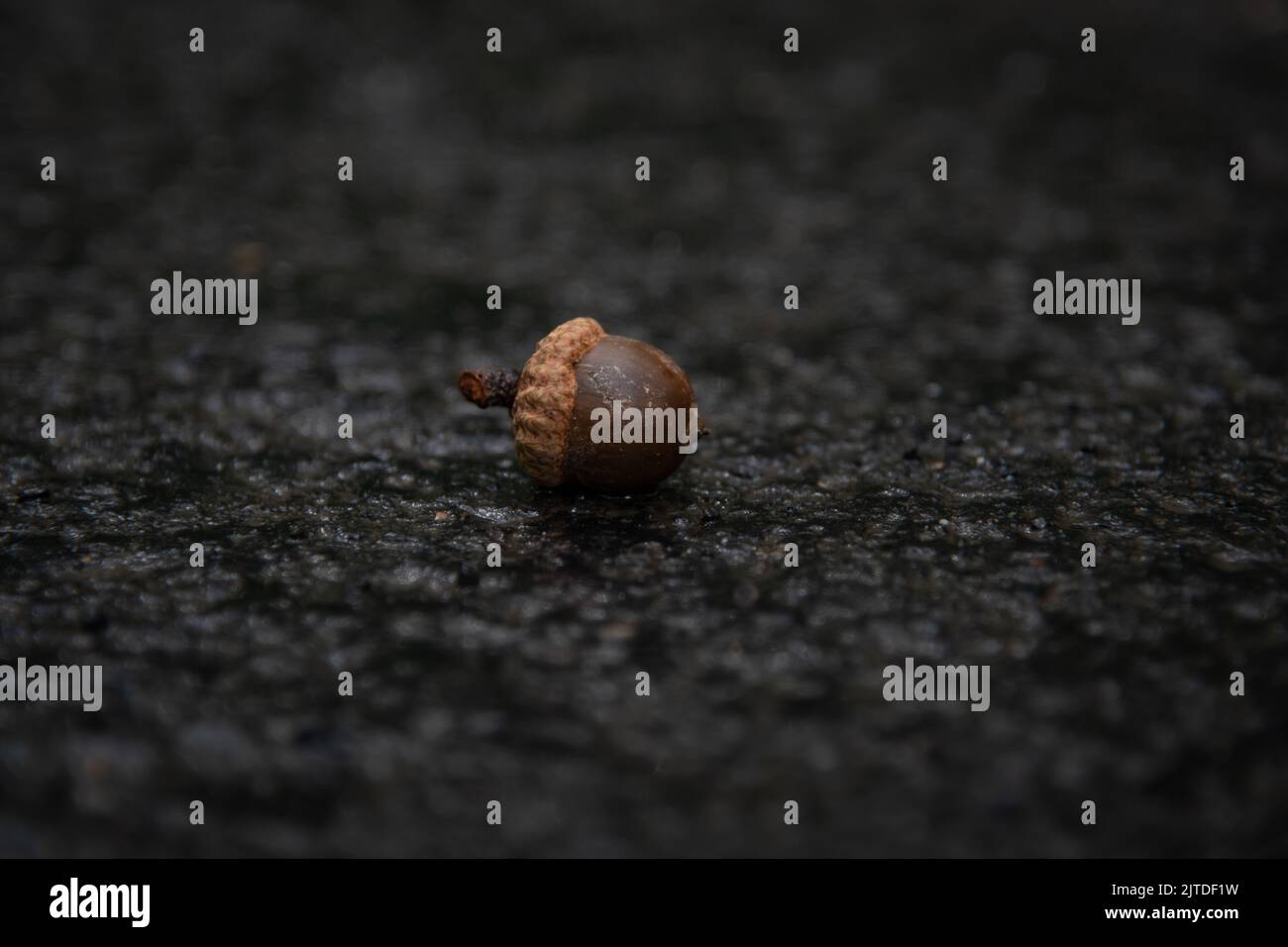 Man made surface preventing new growth hi-res stock photography and ...