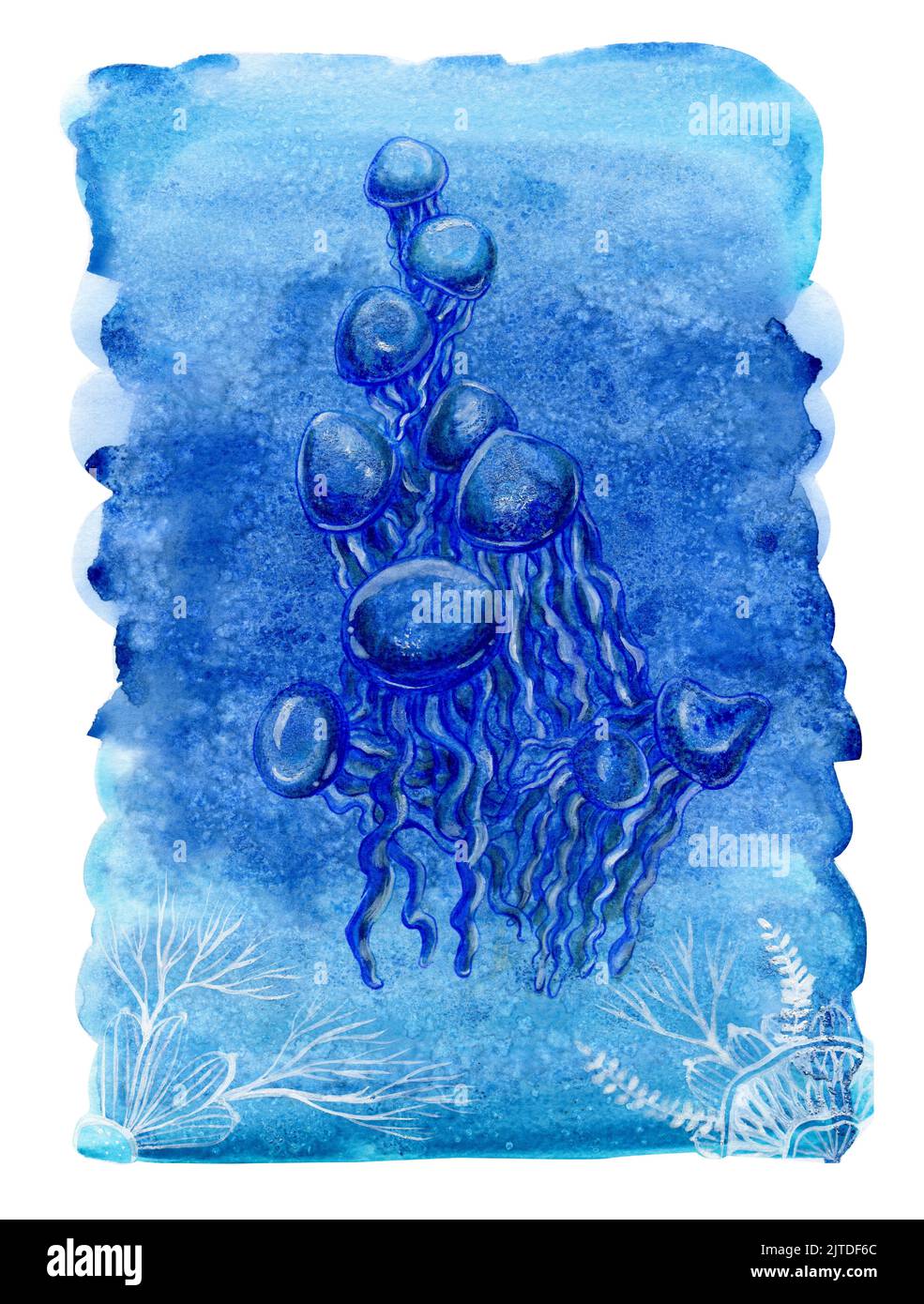 A flock of sea jellyfish. Ocean depths and marine life Stock Photo - Alamy