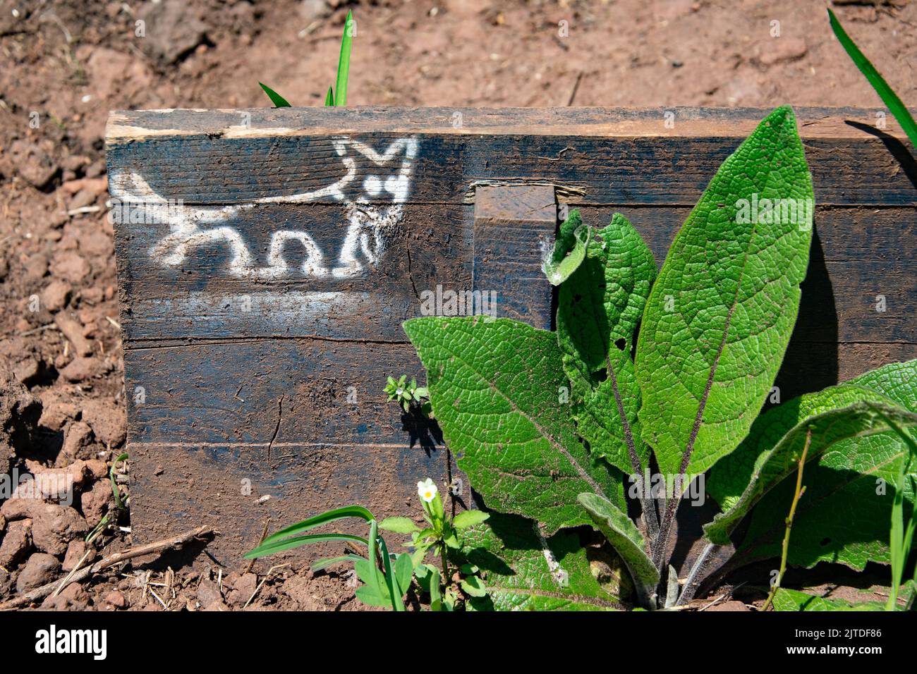 Timber set into trail hi-res stock photography and images - Alamy