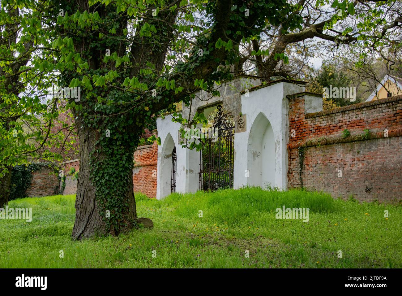 Large tree and manor house gate Stock Photo - Alamy