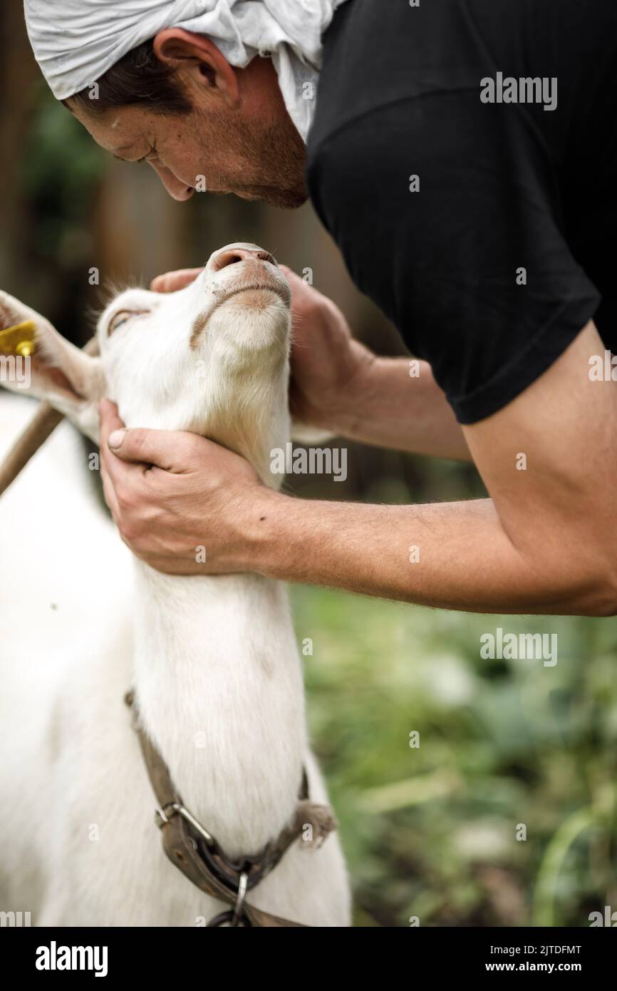 local agriculture, farmer's day 12 october. a man with a goat in his ...