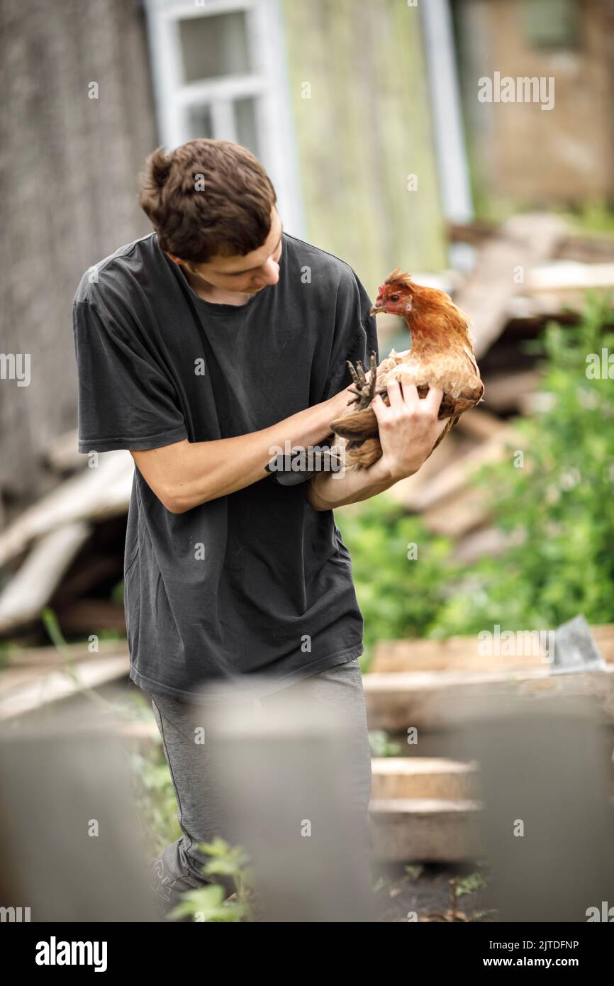 local agriculture, farmer's day 12 october. chicken and turkey in the ...