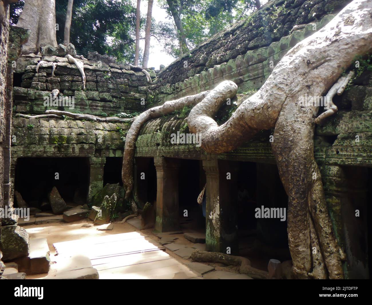 Jungle temple hi-res stock photography and images - Alamy