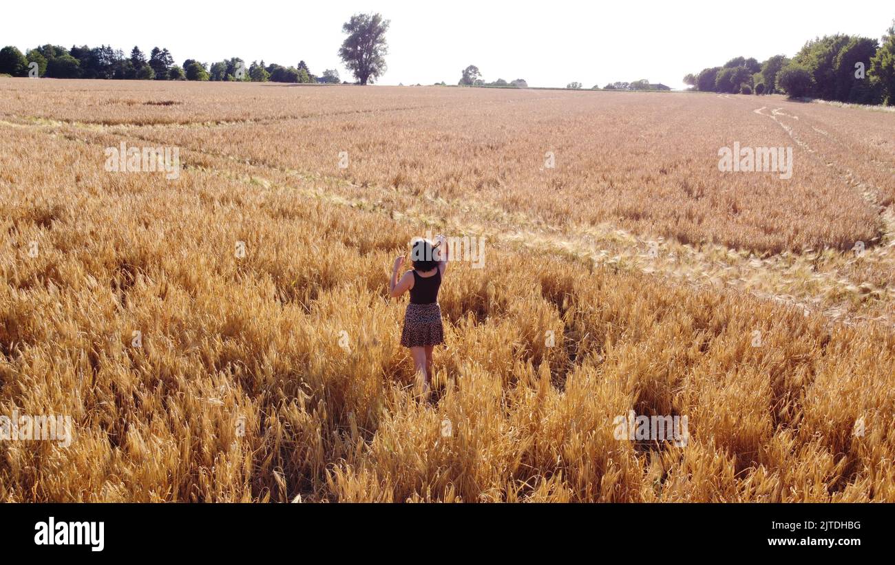 Relaxing wheat field under spring hi-res stock photography and images ...