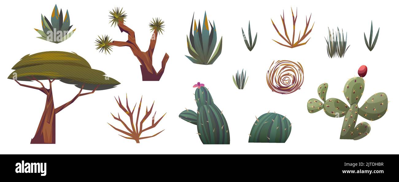 Desert plants, cactuses, grass, bushes, tree and tumbleweed isolated on ...