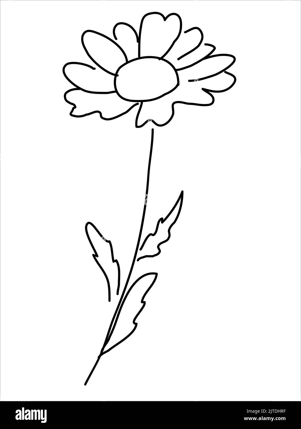Chamomile in the doodle style. Hand-drawn silhouette of pharmacy flower ...