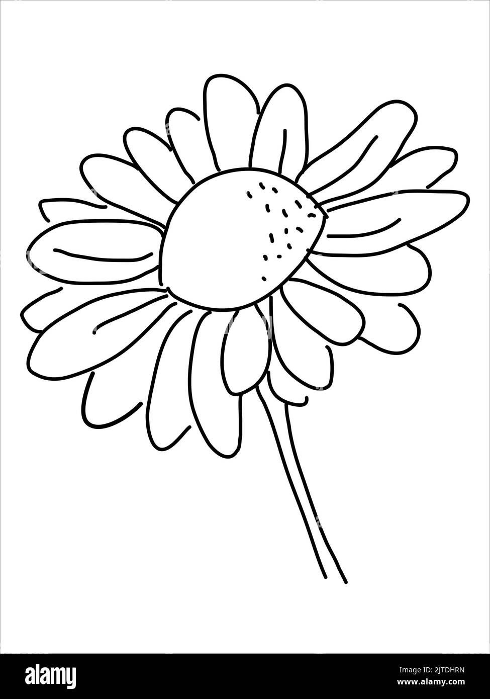 Chamomile in the doodle style. Hand-drawn silhouette of pharmacy flower ...