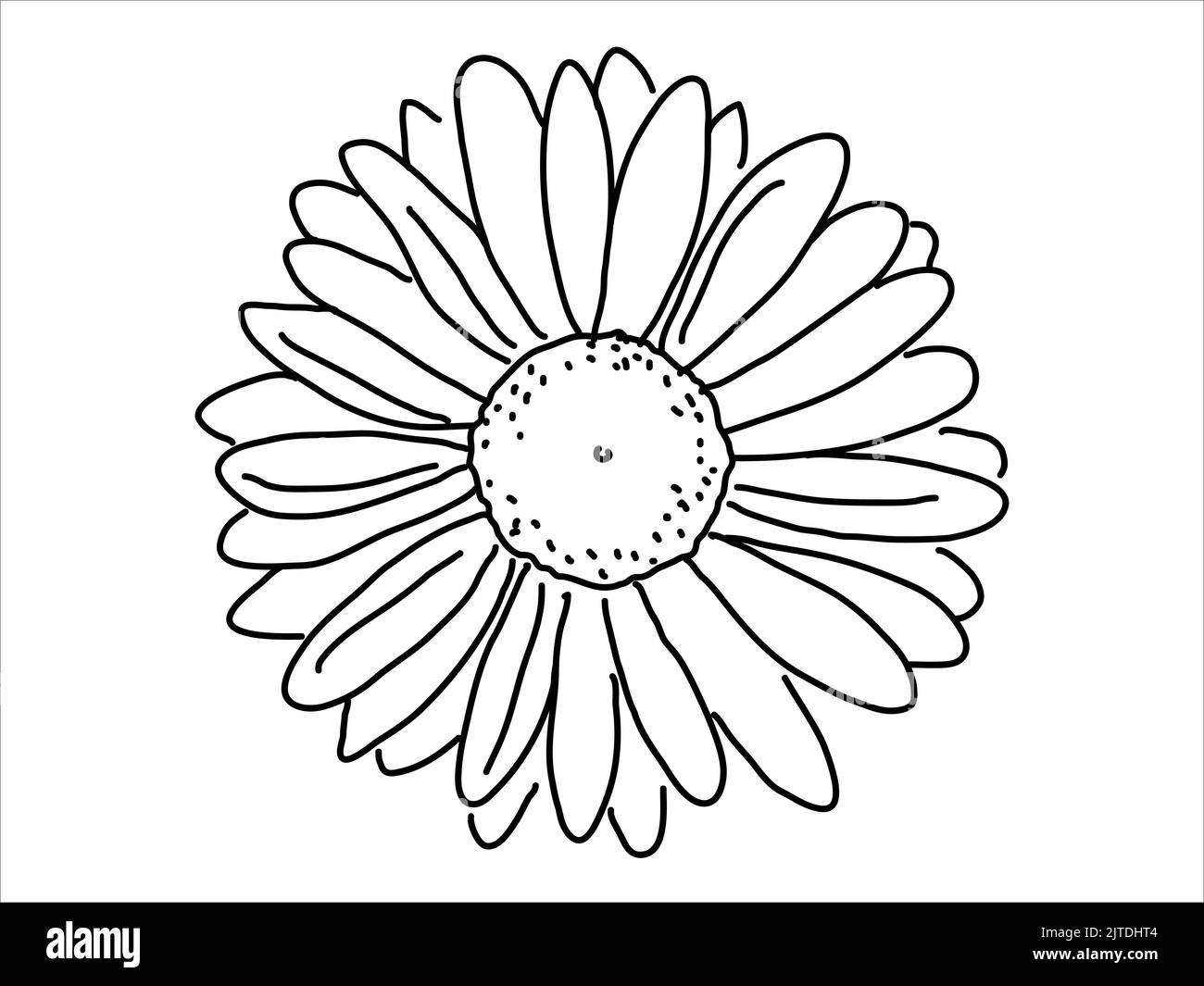 Chamomile in the doodle style. Hand-drawn silhouette of pharmacy flower ...