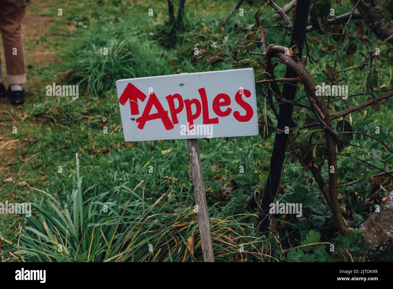 Hand painted road signs hi-res stock photography and images - Alamy