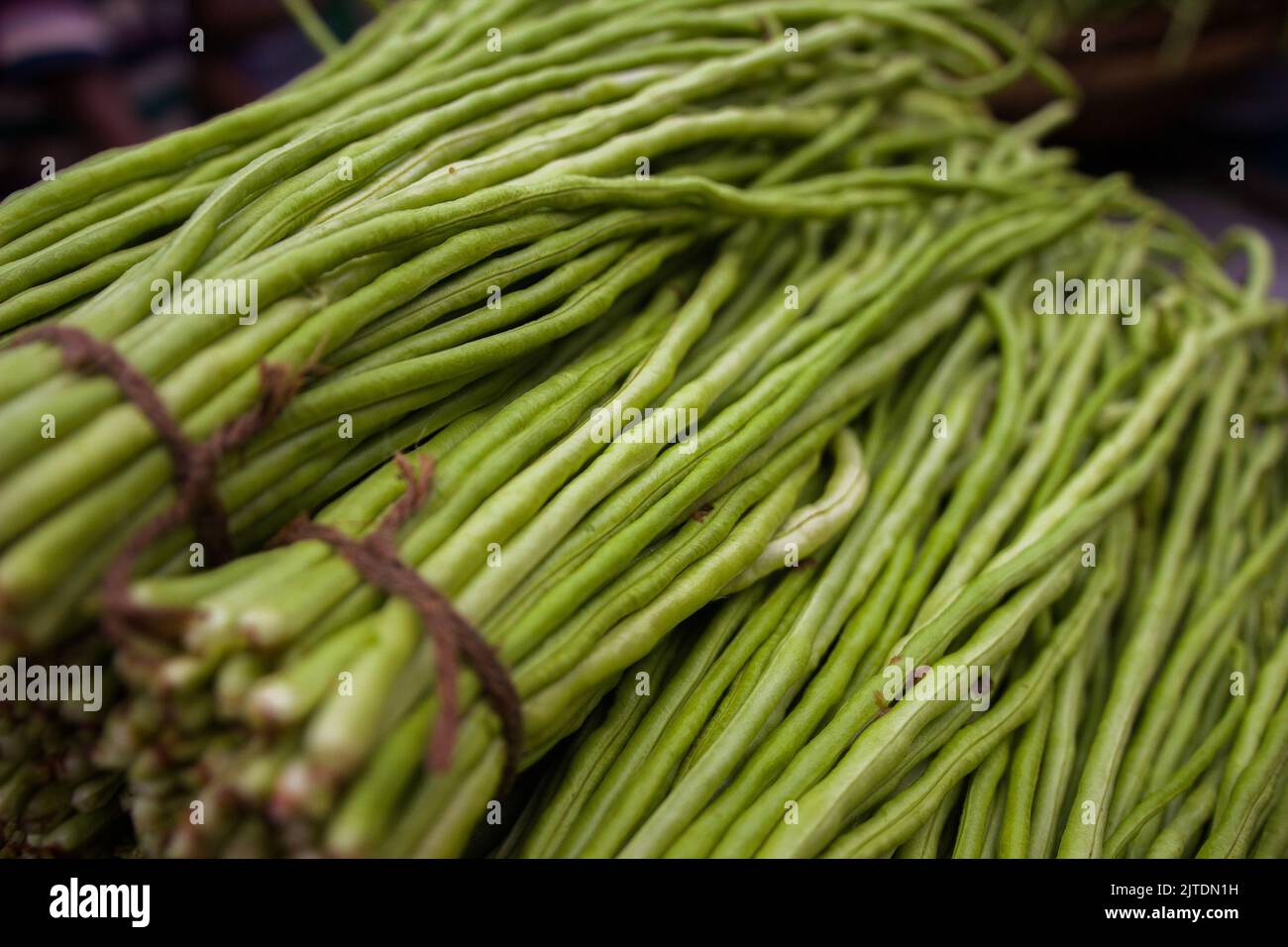 Vegetables are one of the primary income sources for Bangladeshi ...