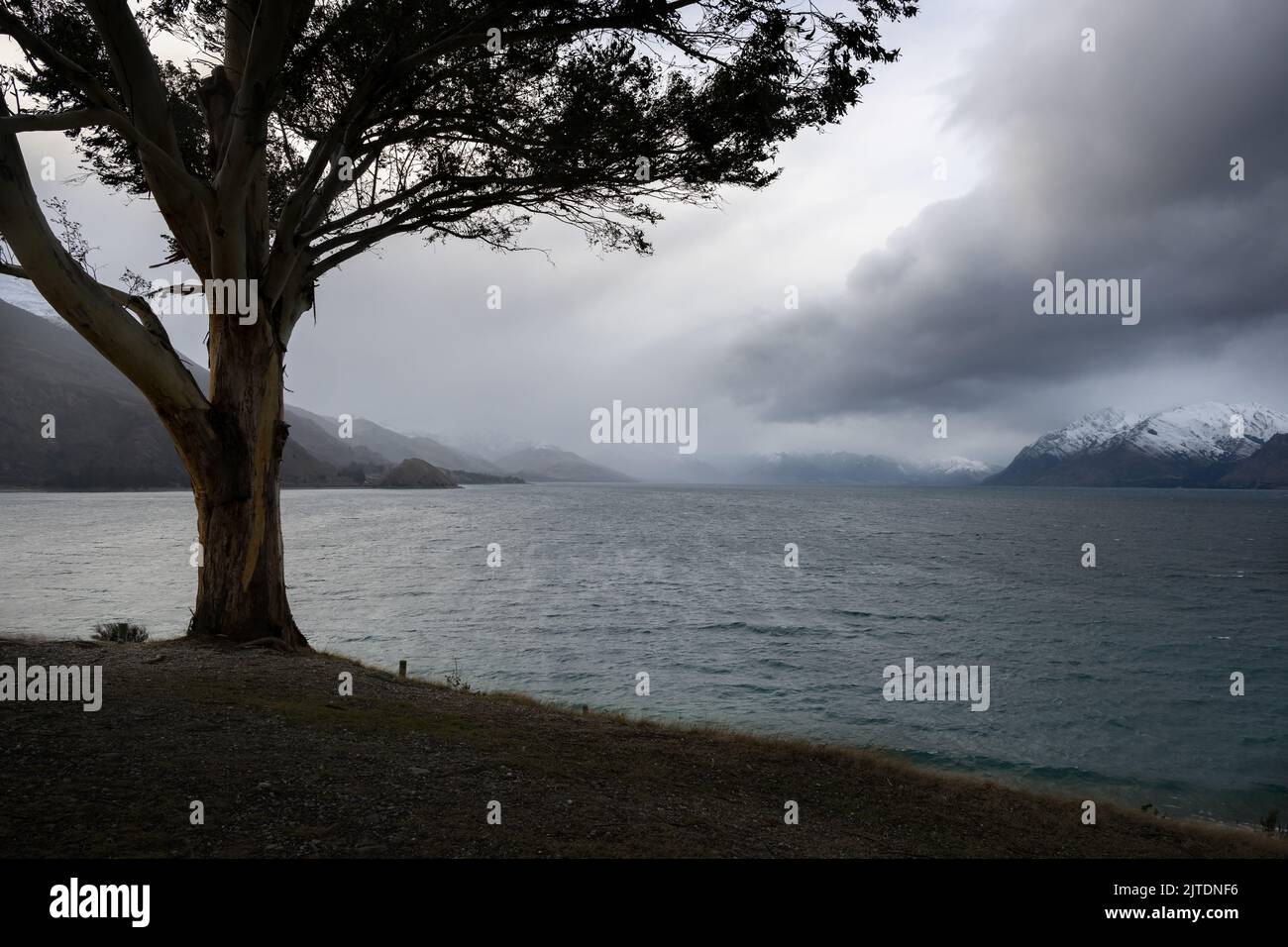 Storm over Lake Hawea, Otago, South Island Stock Photo - Alamy