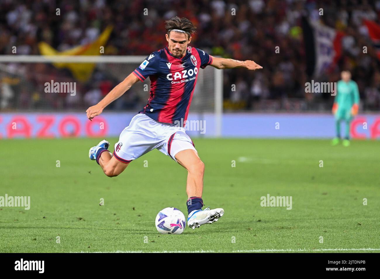 Renato Dall'Ara stadium, Bologna, Italy, August 21, 2022, Bologna's ...