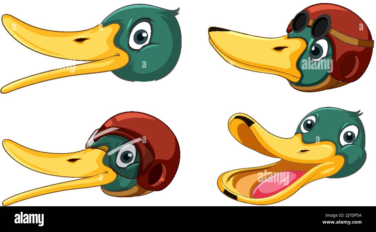 Set of different faces of wild ducks cartoon illustration Stock Vector ...