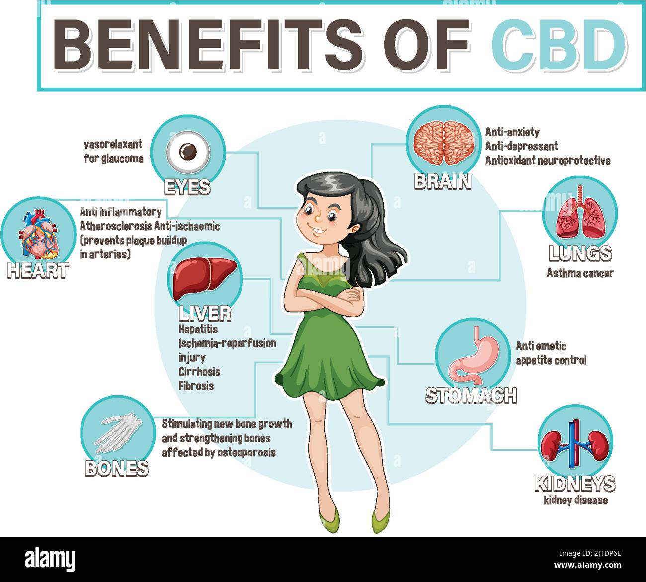 Benefits of CBD for physical health diagram illustration Stock Vector ...