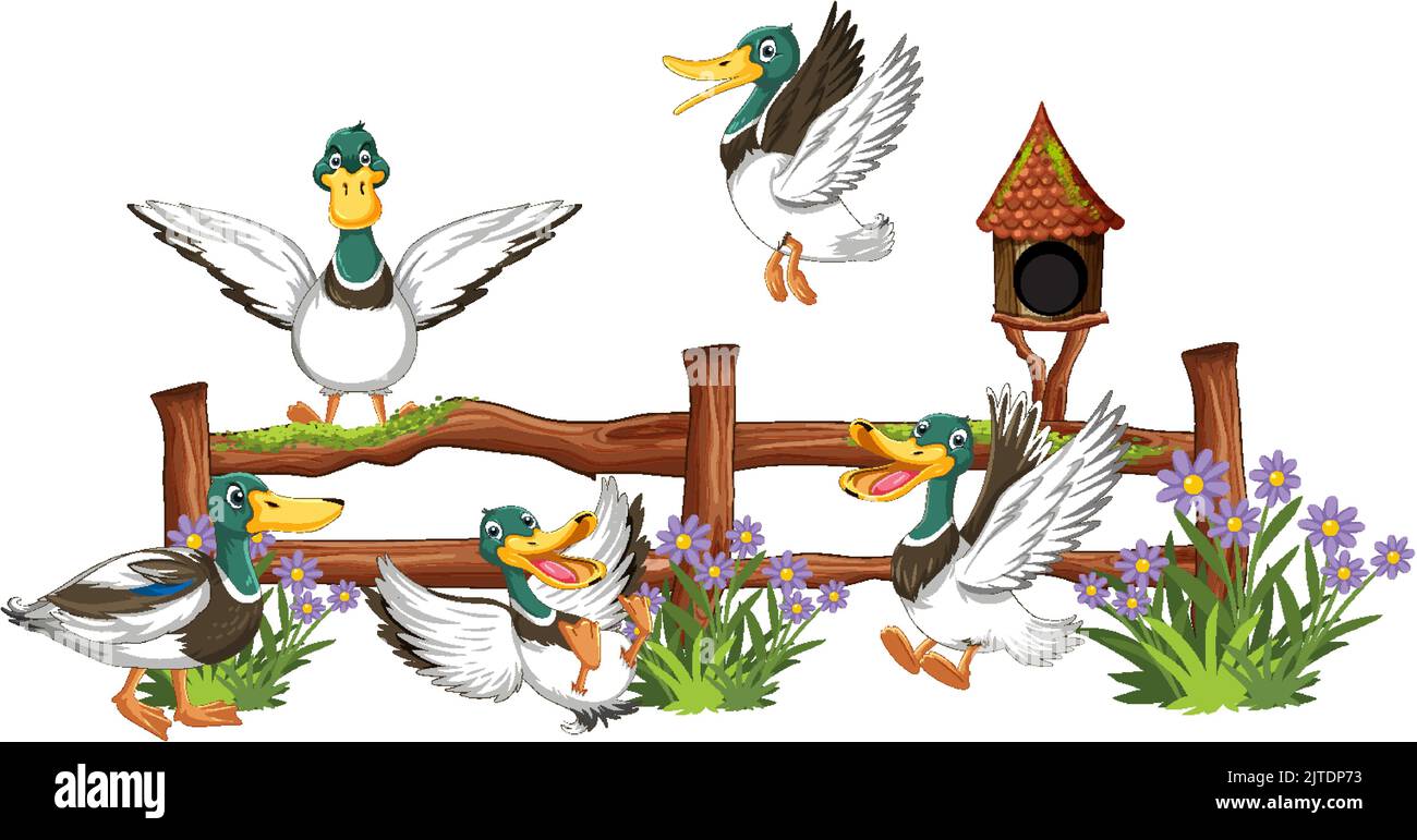 Wild ducks group cartoon illustration Stock Vector Image & Art - Alamy