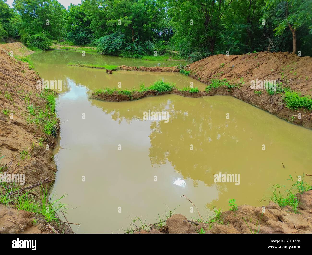 A Zezra Viramgam Ahemdabad Gujarat India Forest Pond HD Photos ...