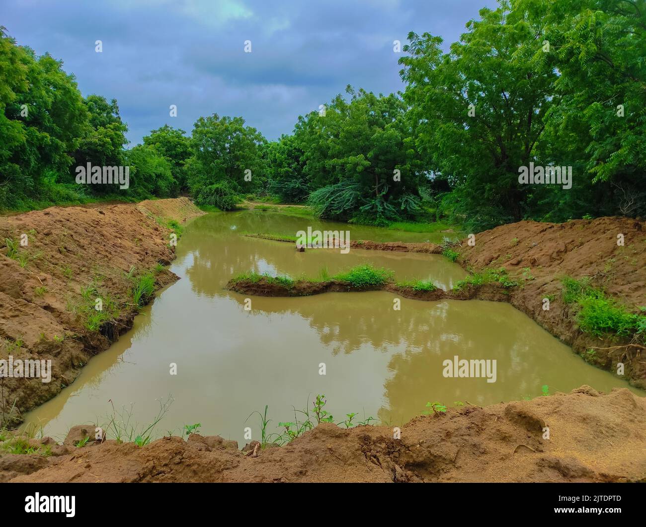 A Zezra Viramgam Ahemdabad Gujarat India Forest Pond HD Photos ...