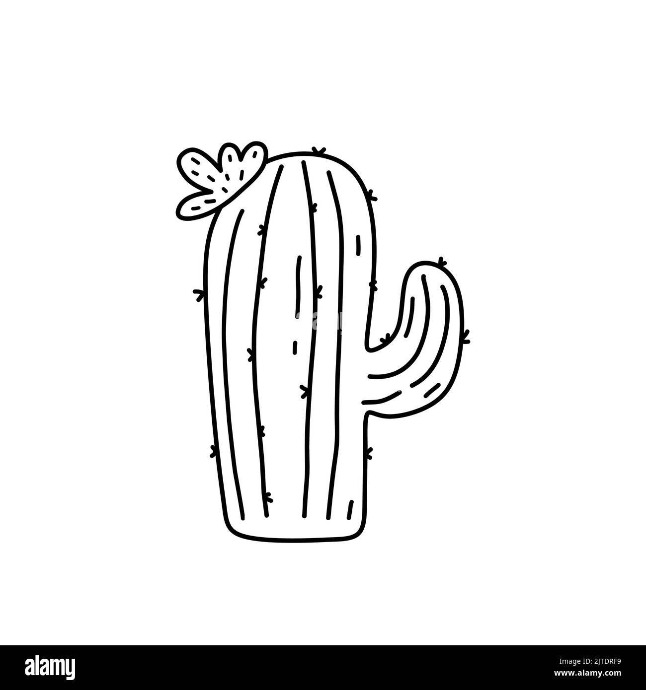 Cute cartoon cactus isolated on white background. Vector hand-drawn ...